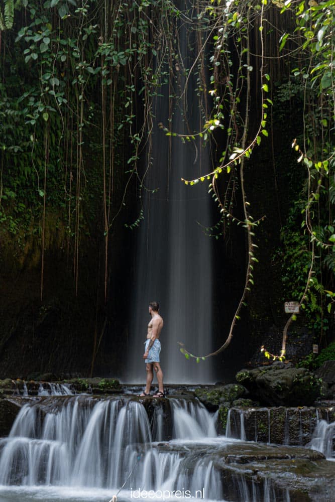10 Ultieme tips voor jouw verblijf in Ubud: Het culturele hart van Bali ...